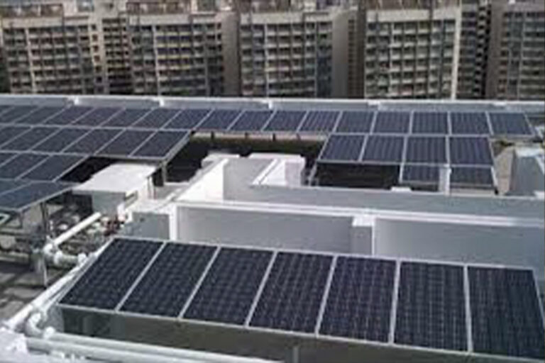 Projects Gallery – Nexon