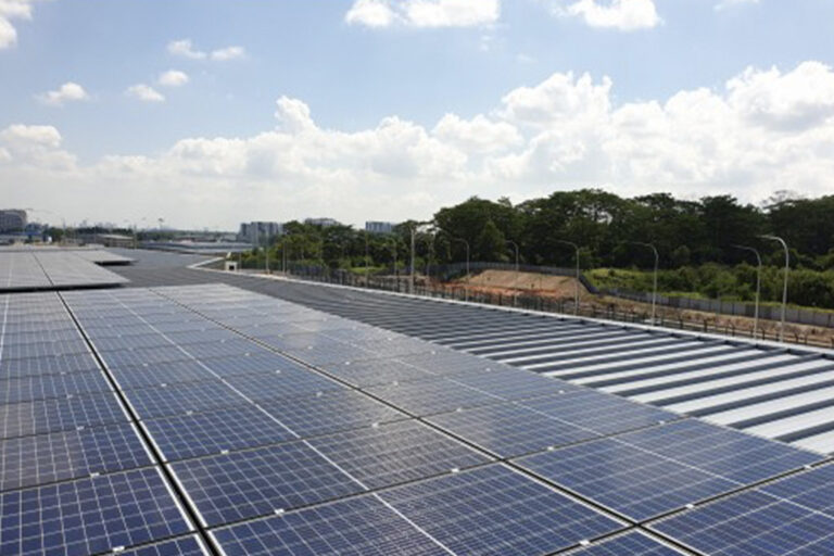 Projects Gallery – Nexon